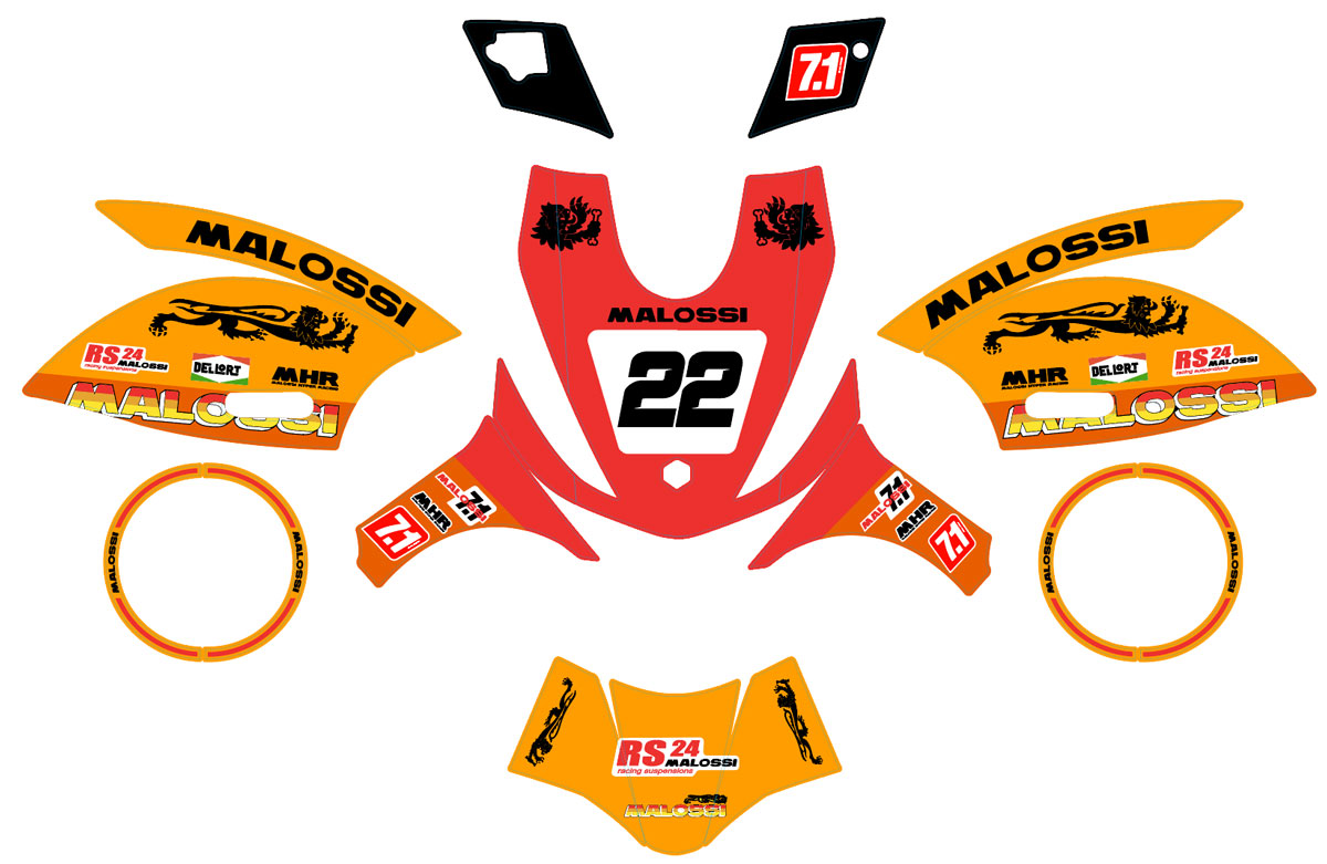 Kit pegatinas Piaggio Zip 50cc Malossi (2000-2025) - Diseño eficiente y ...